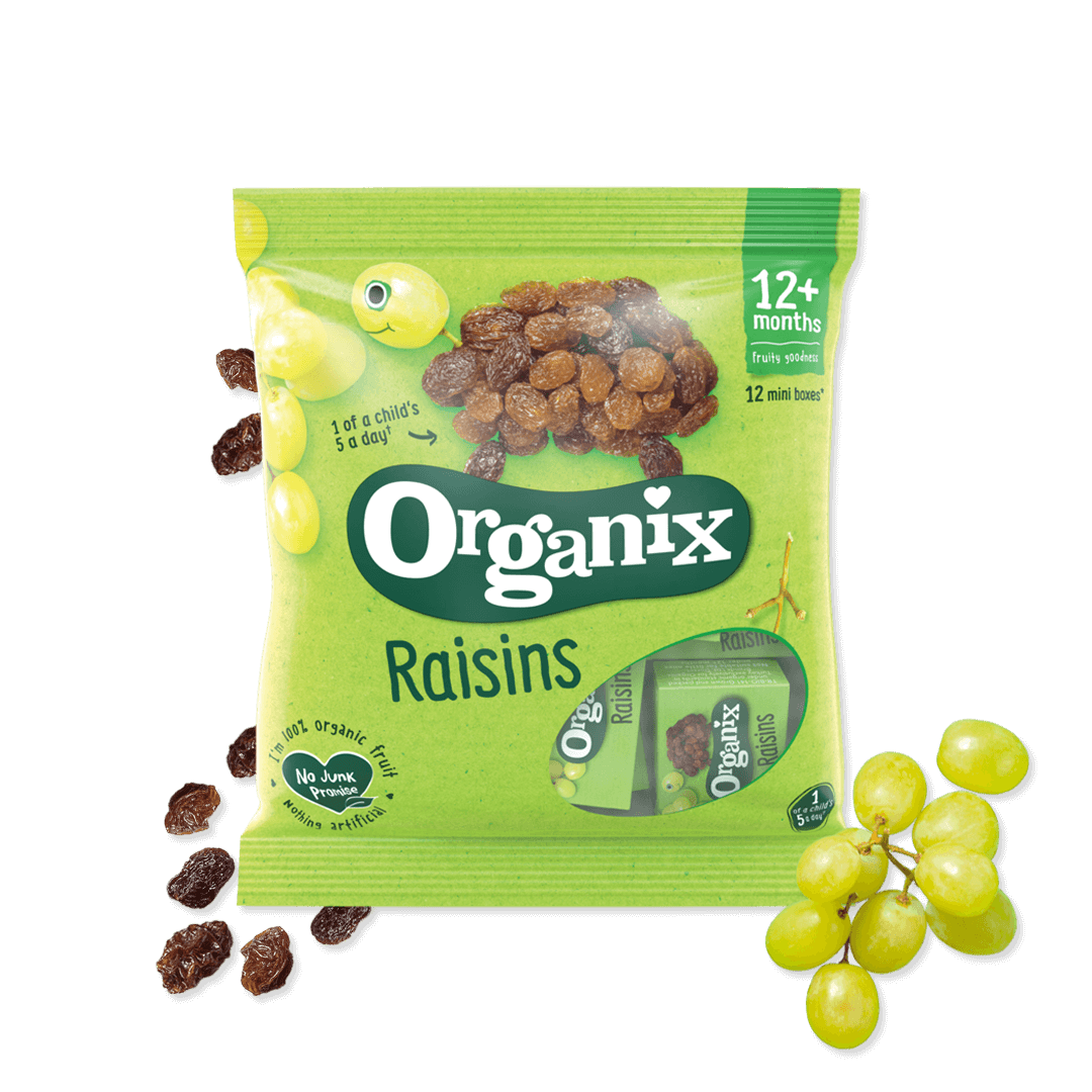 Case - Mini Raisin Fruit Snack Boxes Multipack 4x(12x14g) – Bio Kids Qatar